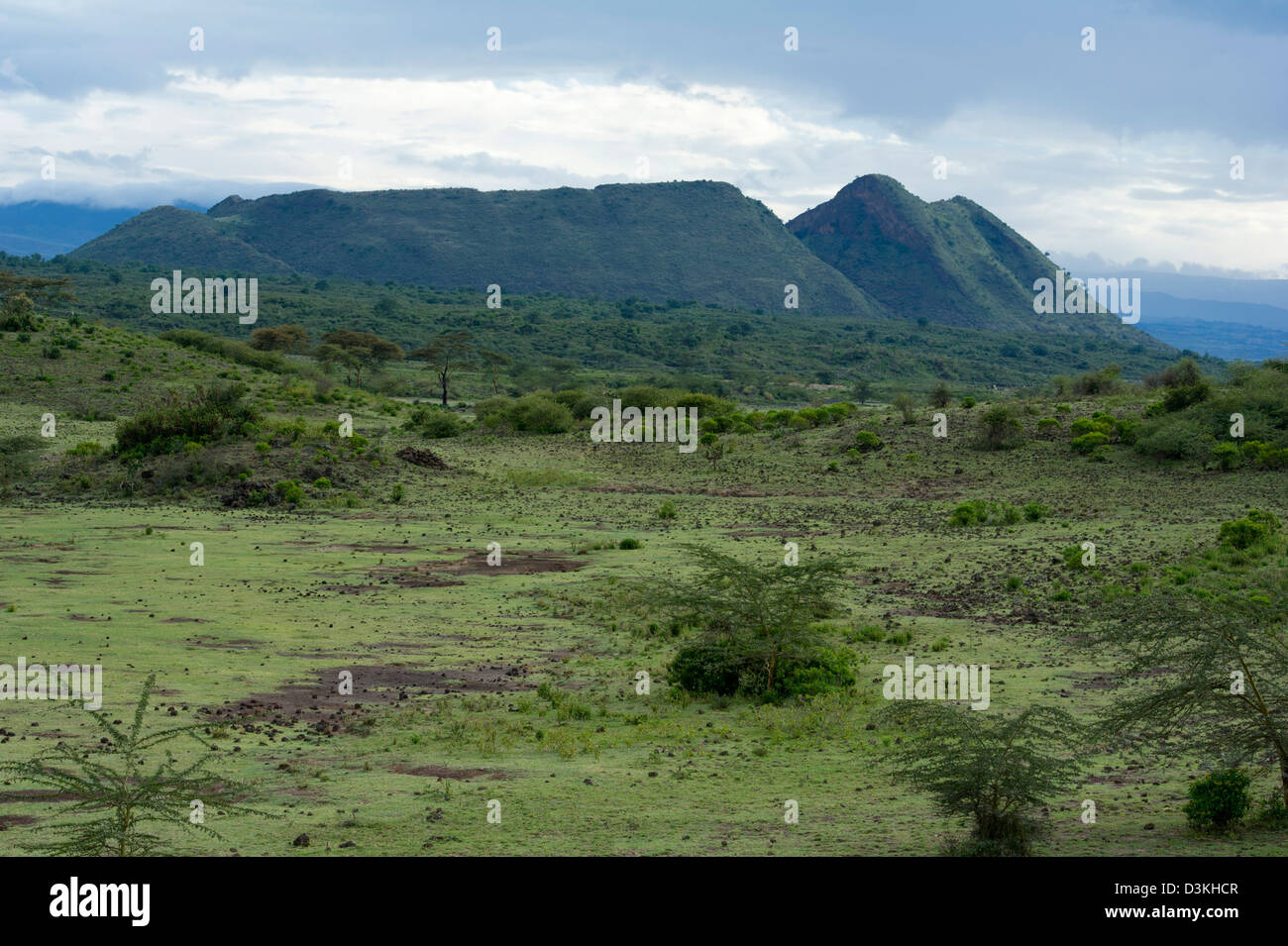 Soysambu conservancy Banque de photographies et d’images à haute ...