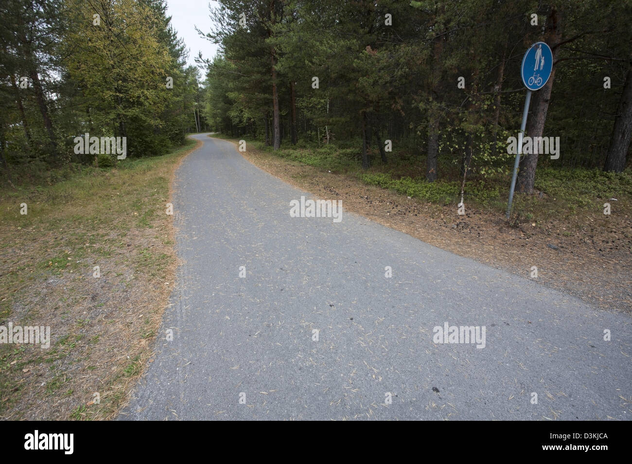 Piste cyclable et sentier à travers la forêt Banque de photographies et ...
