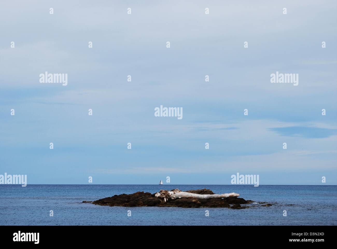 Tronc d'arbre mort blanc bois flottant sur une petite île dans la mer Photo Stock - Alamy