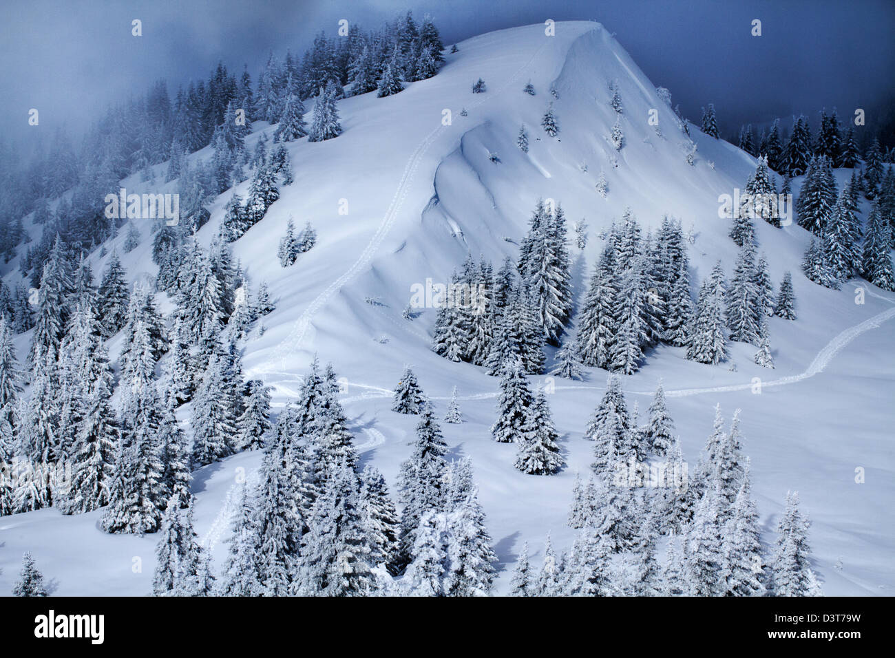Massif la chartreuse regional nature Banque de photographies et d ...