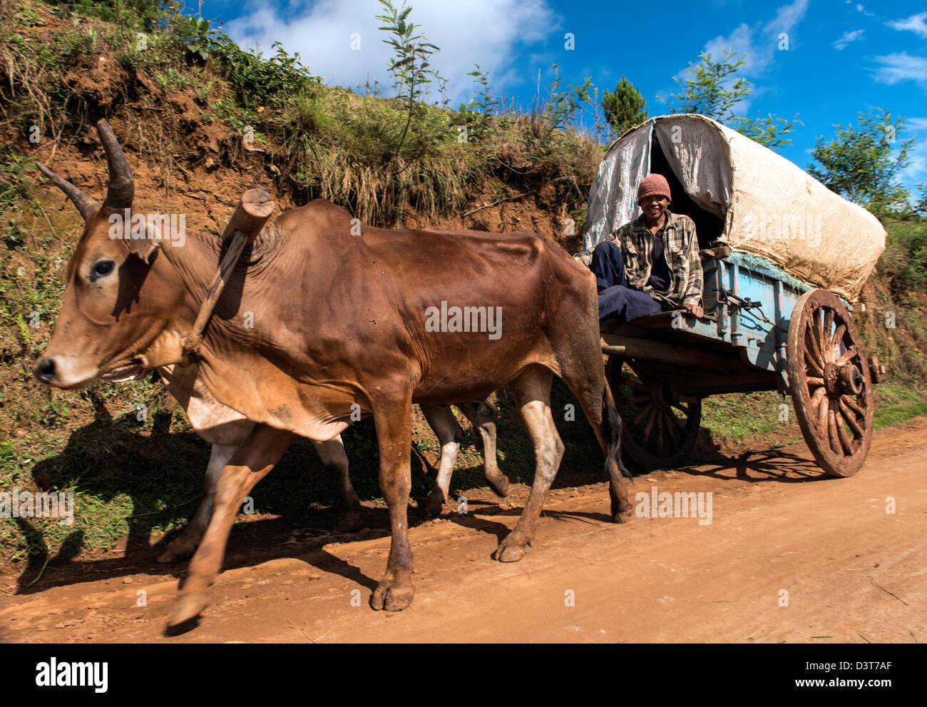 Charrette À Boeufs Banque d'image et photos - Alamy