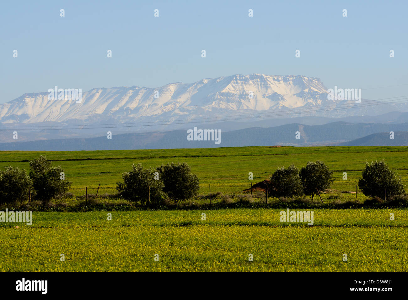 Middle atlas Banque de photographies et d’images à haute résolution - Alamy