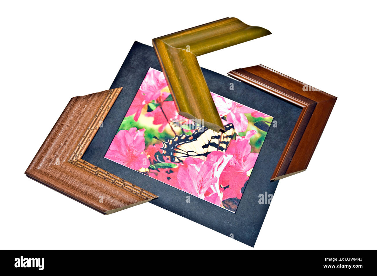 Impression sur toile Banque de photographies et d’images à haute ...