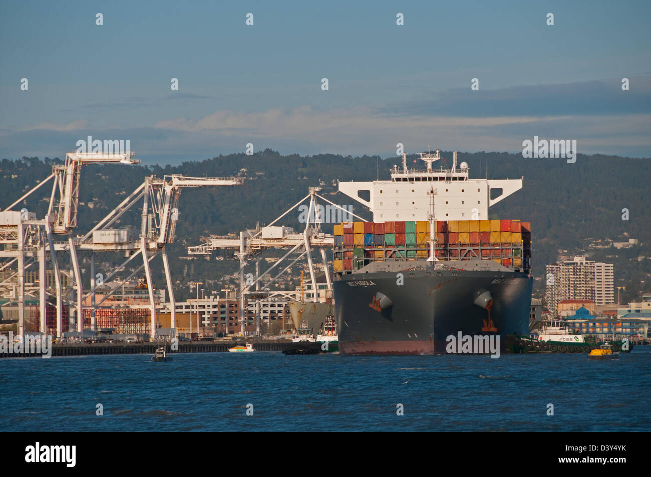 Msc fabiola Banque de photographies et d’images à haute résolution - Alamy