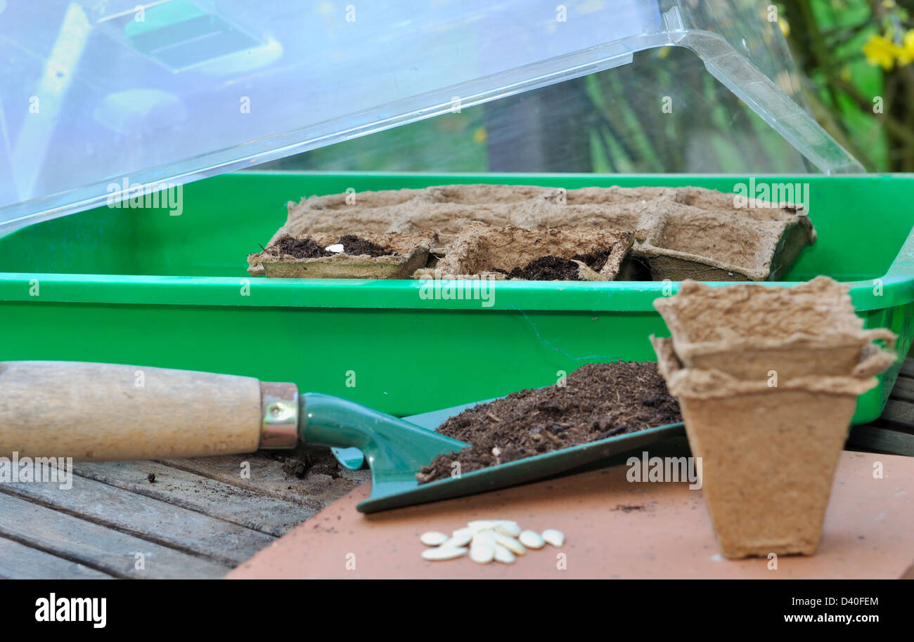 La plantation des semences dans des pots biodégradables mini-serre ...