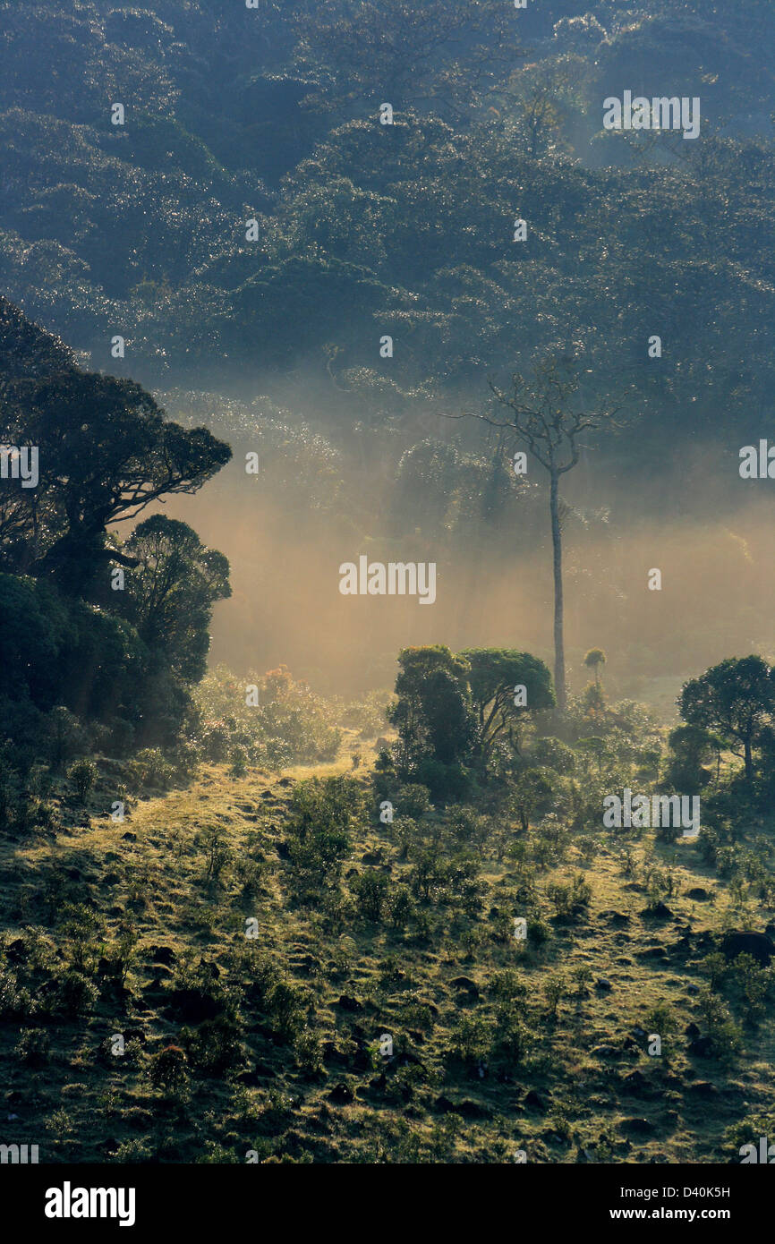 Bonakkad Banque de photographies et d’images à haute résolution - Alamy