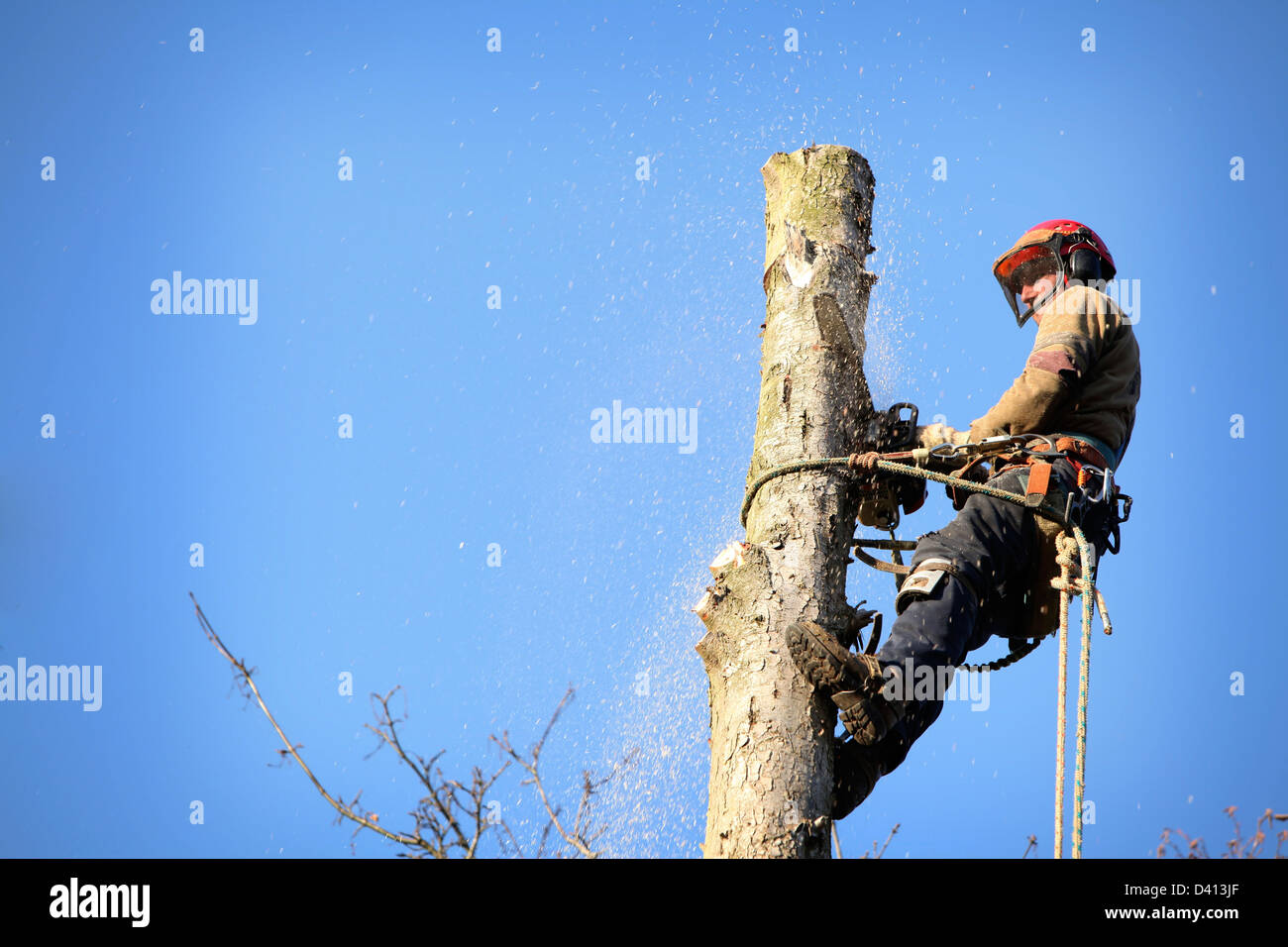 Arboriste Couper Des Branches D'arbre Banque d'image et photos - Alamy