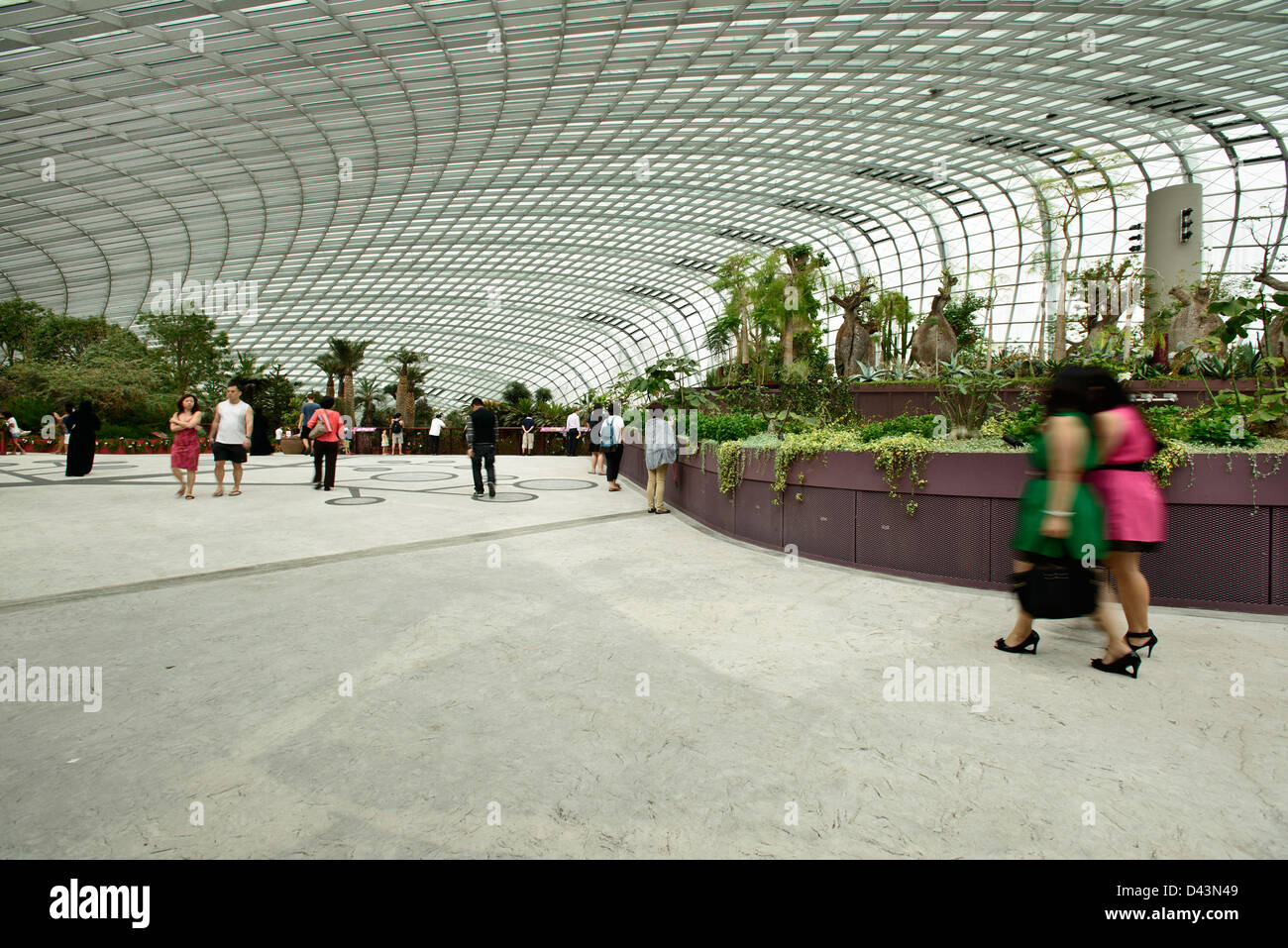 Gardens by the Bay, Singapour, Singapour. Architecte : Wilkinson Eyre ...