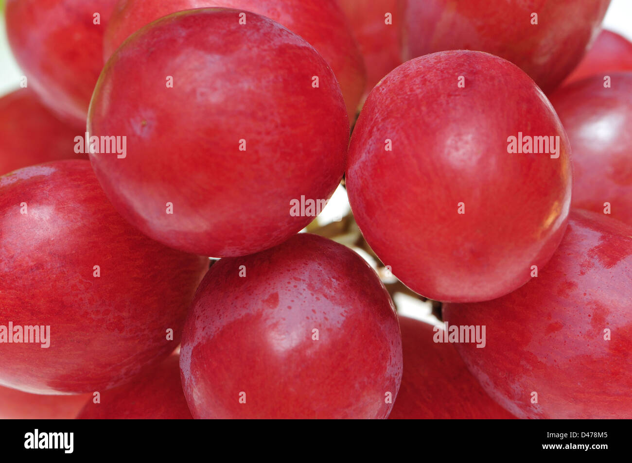 Grappe de raisin rouge raisin rouge Banque de photographies et d’images ...