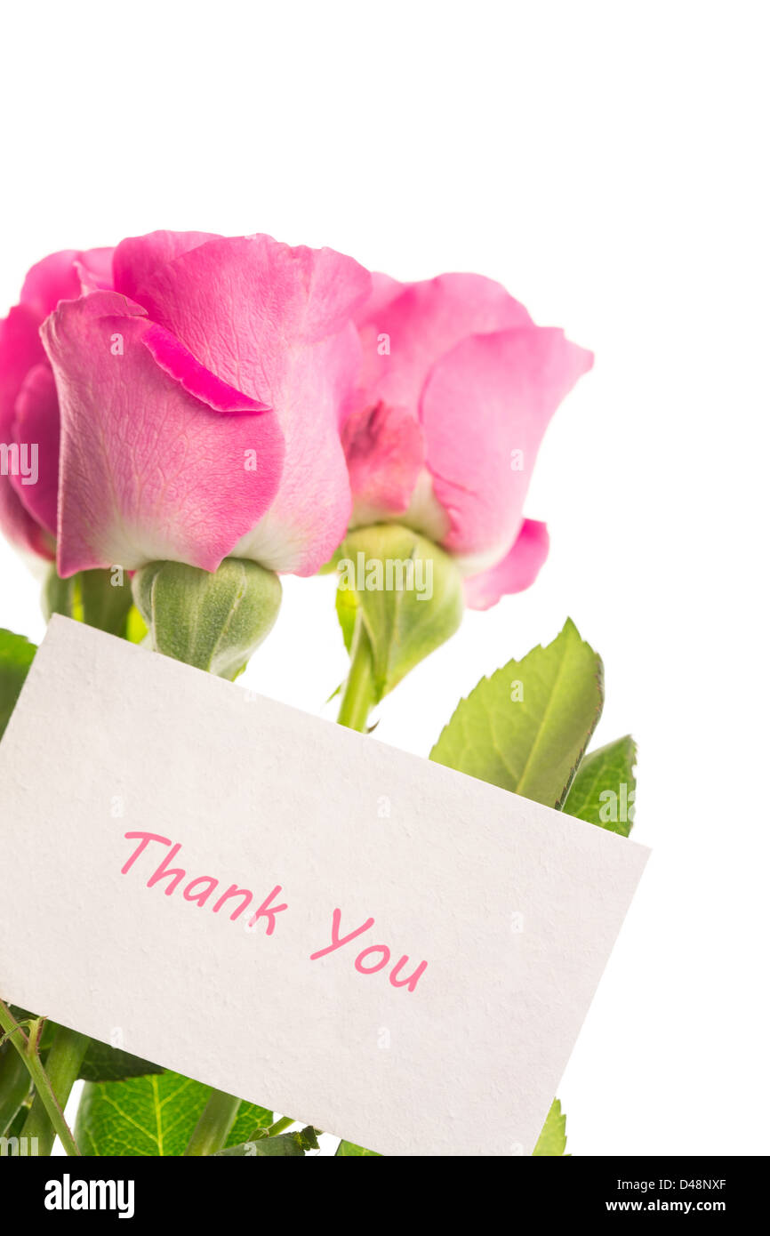 Carte de remerciement avec rose Banque de photographies et d’images à ...