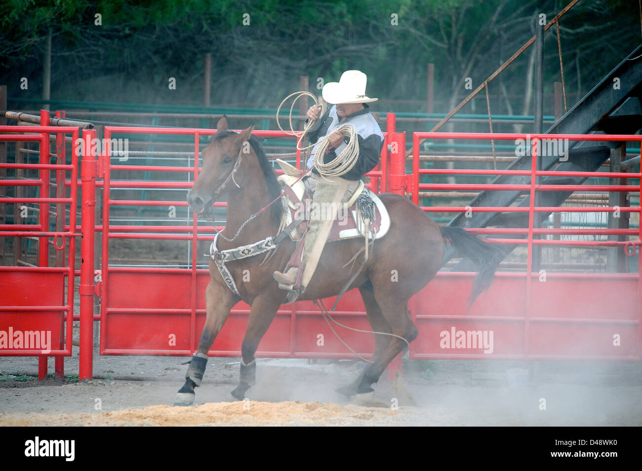 Cowboy mexicain et cheval Banque de photographies et d’images à haute ...