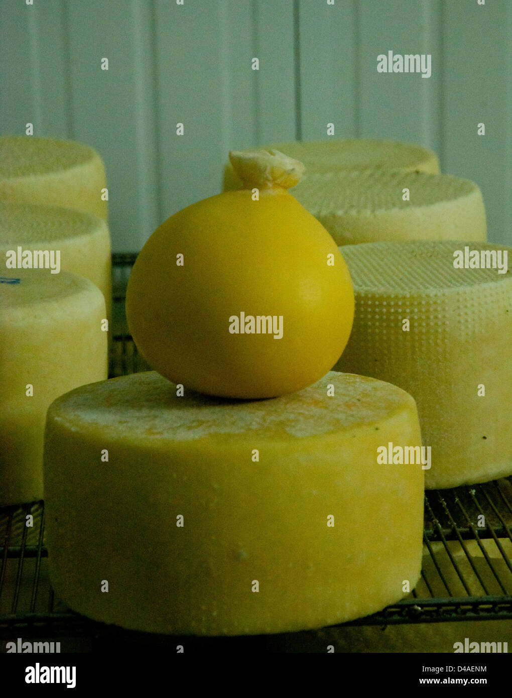 En forme de poire 'fromage' Peretta Pattada Sardaigne Photo Stock - Alamy