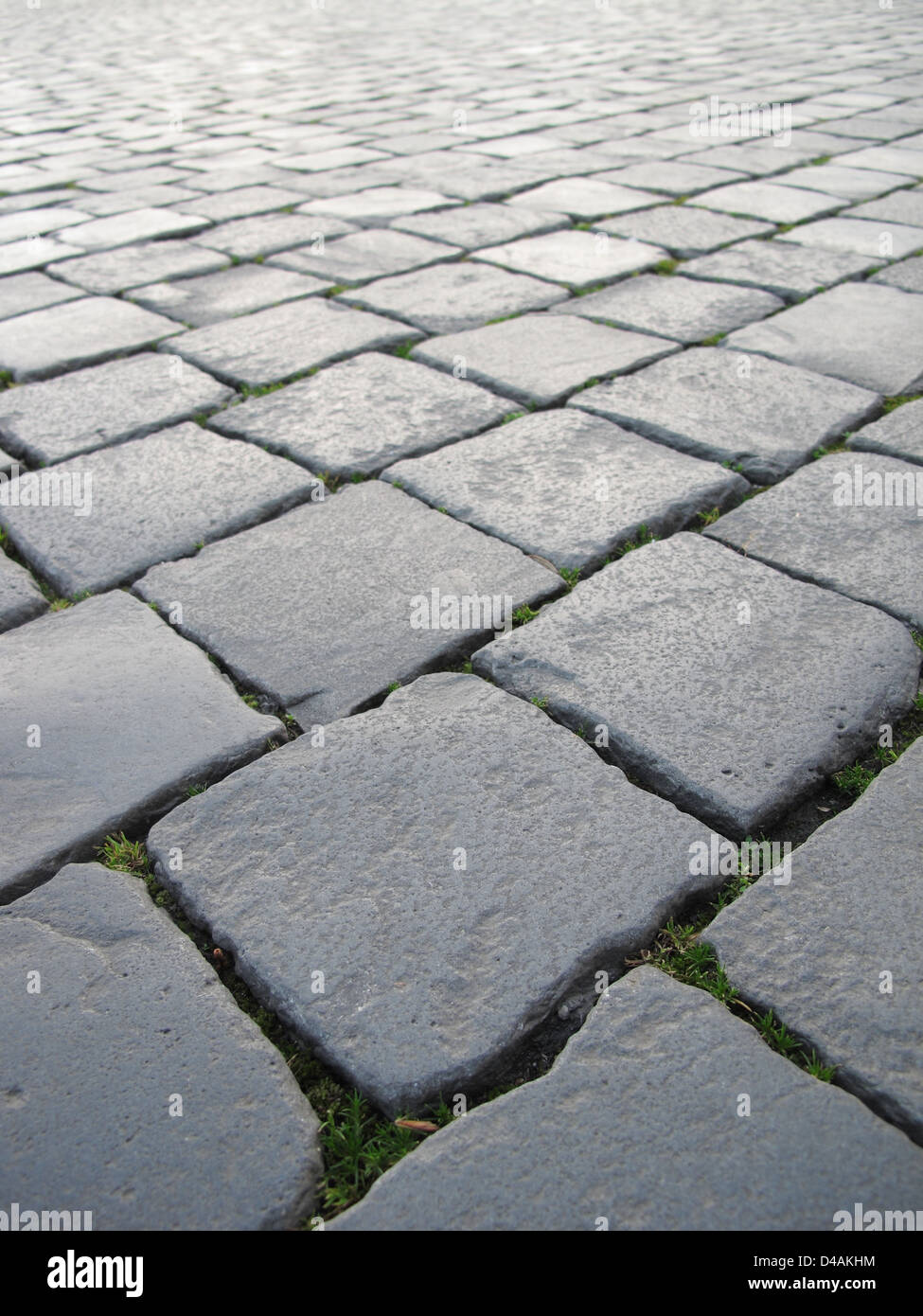 Sanpietrino est l'élément composant cette route pavée traditionnelle ...