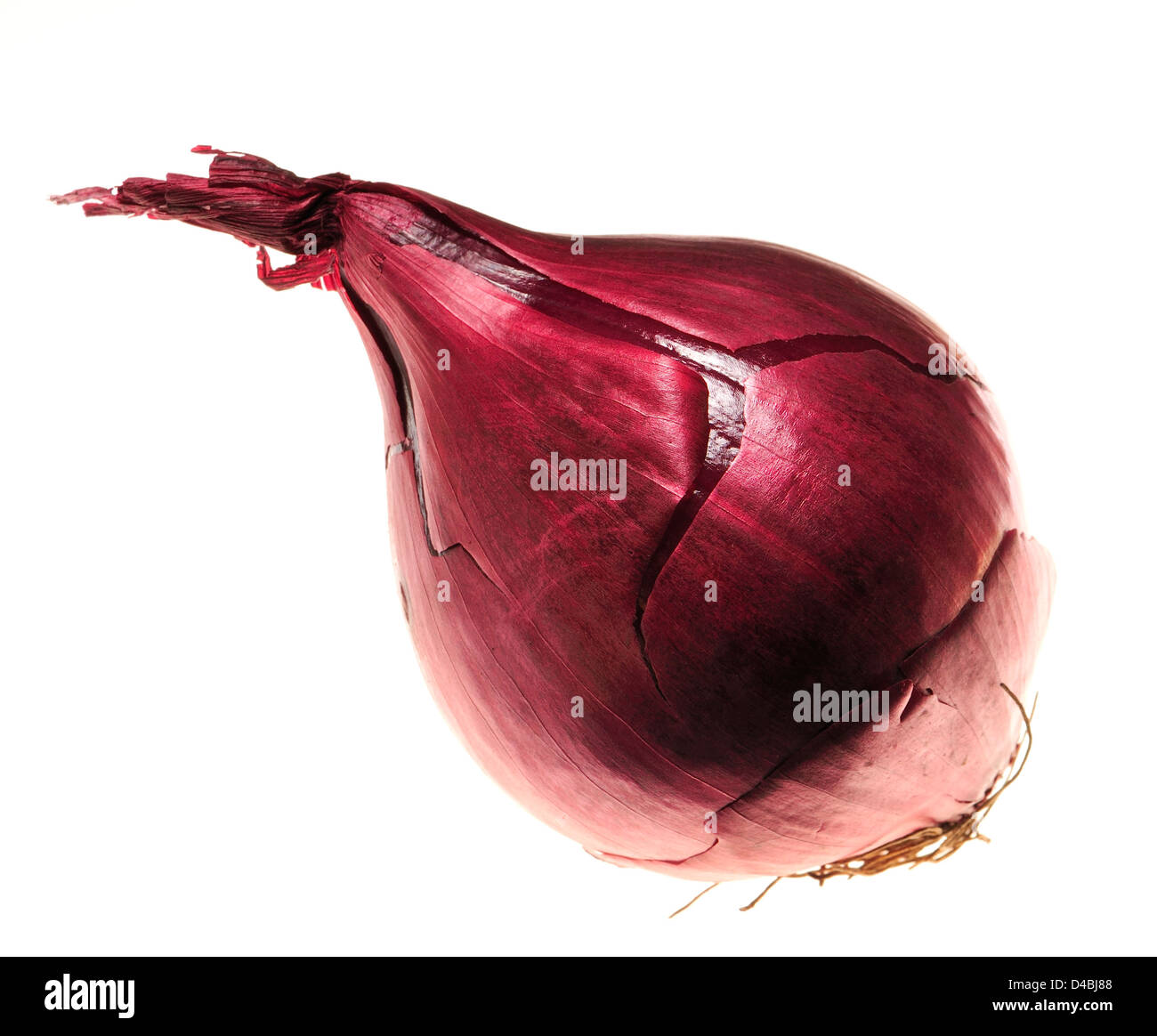 L'oignon Rouge Banque d'image et photos - Alamy