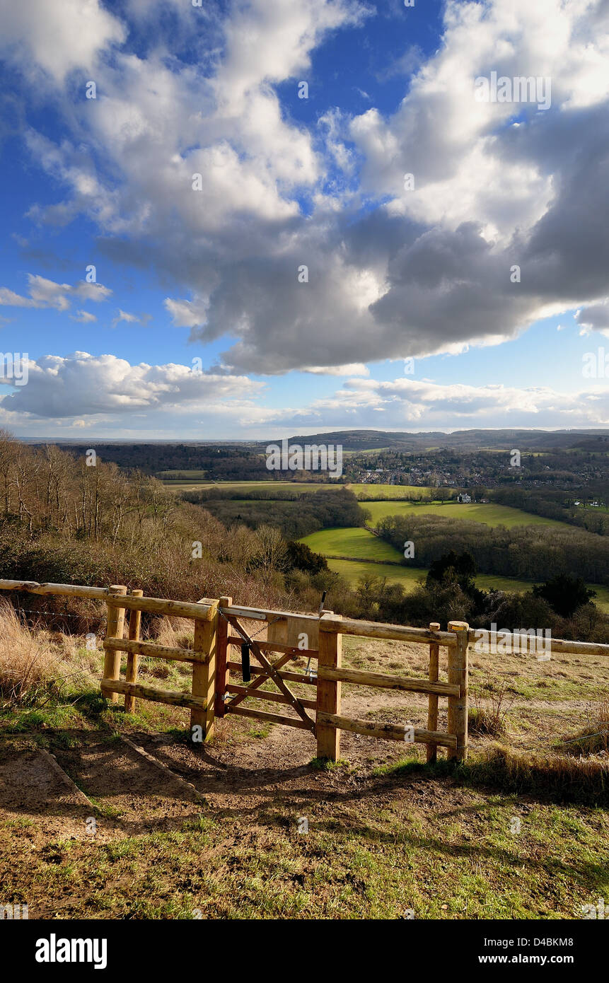 Ranmore commun Banque de photographies et d’images à haute résolution ...