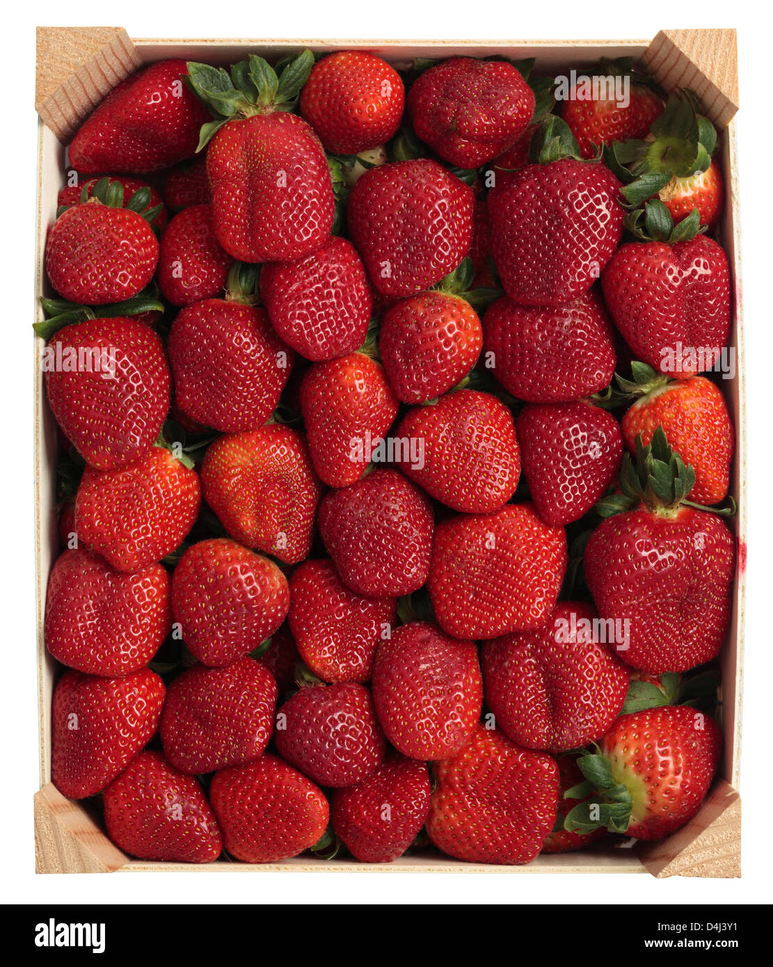 Barquette de fraises Banque de photographies et d’images à haute ...