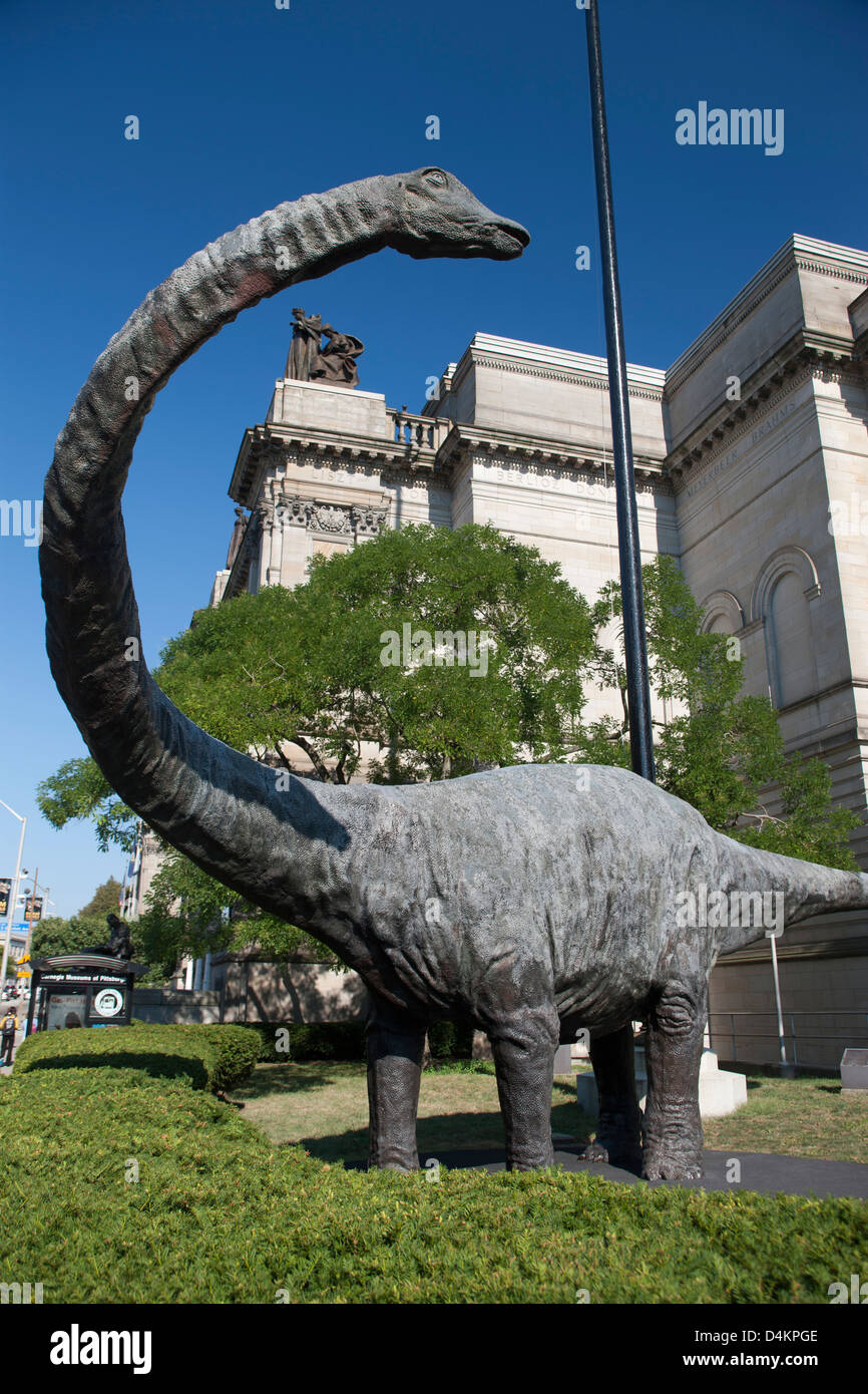 STATUE DE DINOSAURE DIPLODOCUS CARNEGIE MUSEUM OF NATURAL HISTORY ...