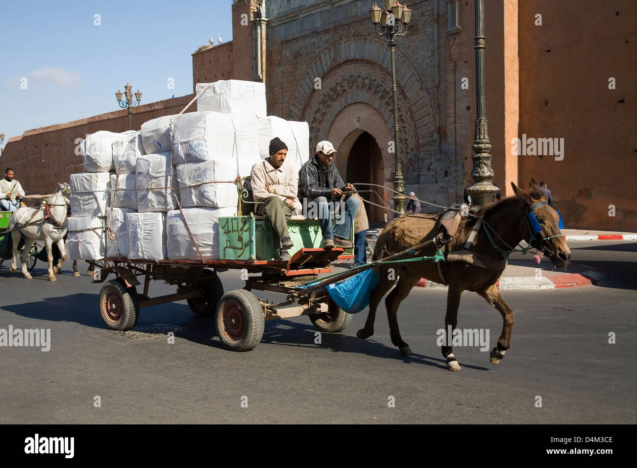 L'Afrique, Maroc, Marrakech, chariot à cheval Photo Stock - Alamy