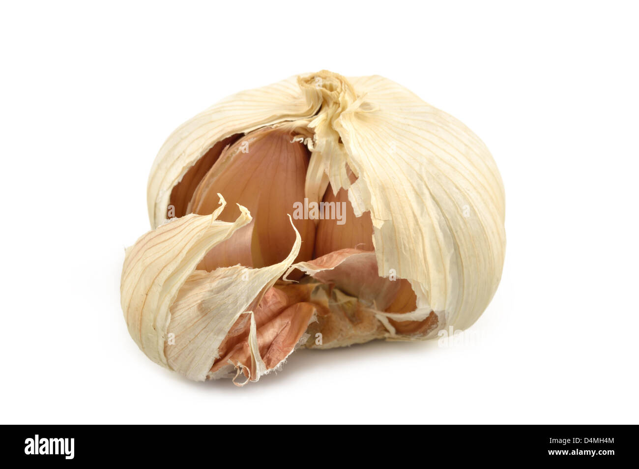Ail sur fond blanc Banque de photographies et d’images à haute ...