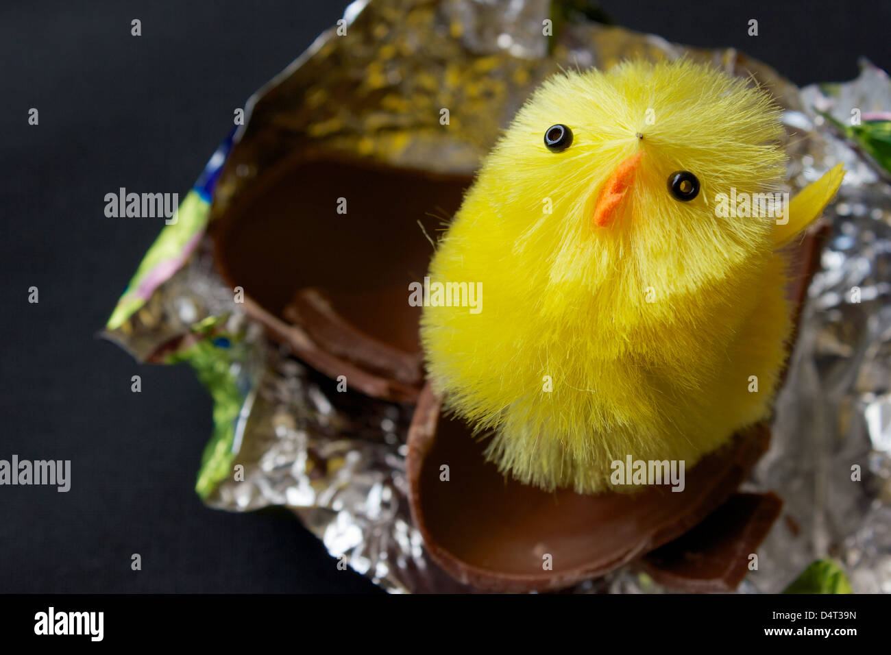 Poussin de pâques Banque de photographies et d’images à haute ...