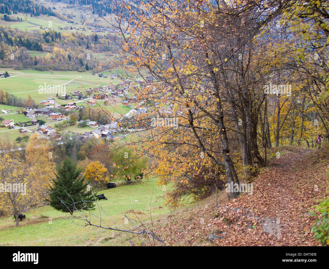 Val de bagnes en automne Banque de photographies et d’images à haute ...