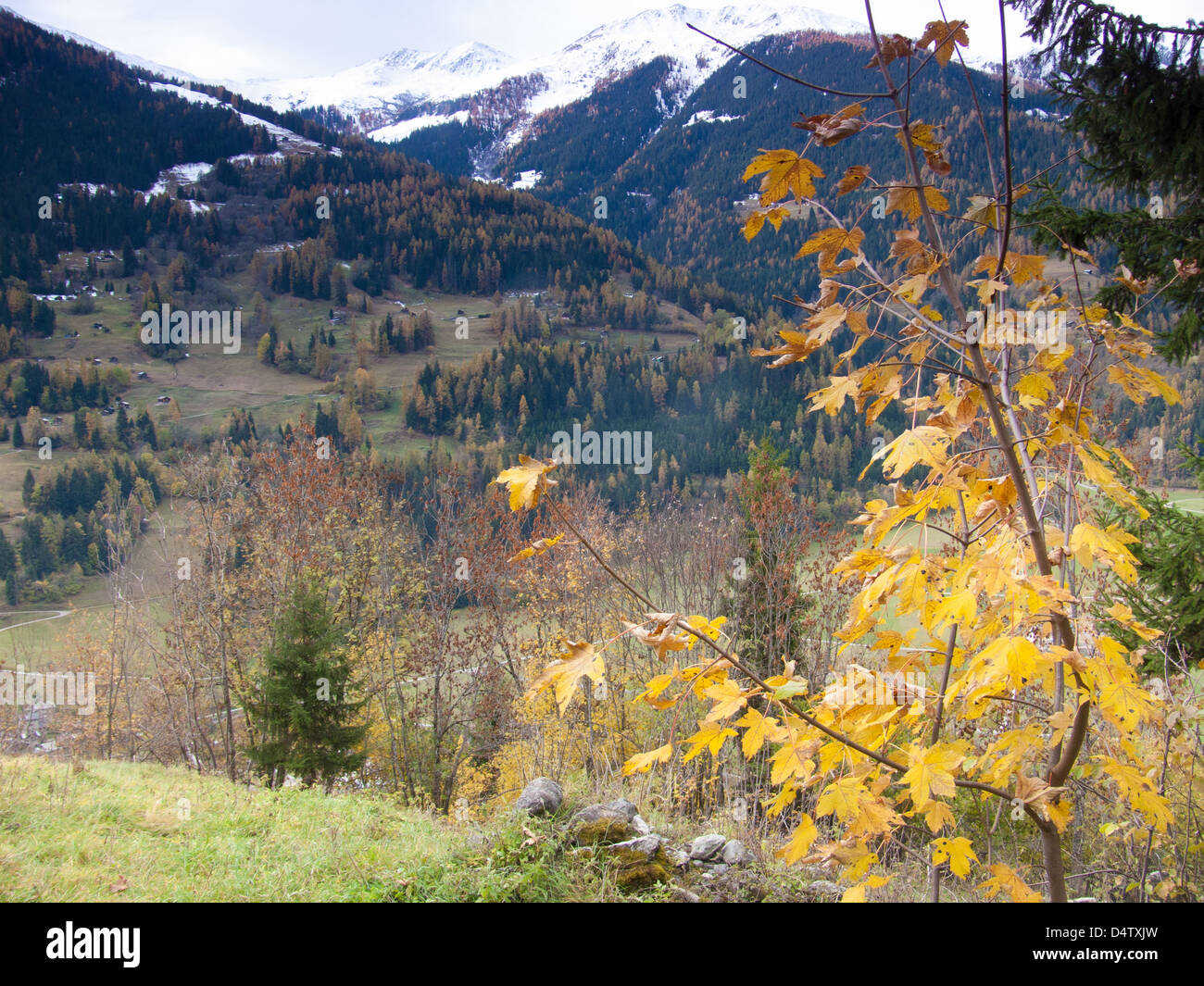 Val de bagnes en automne Banque de photographies et d’images à haute ...