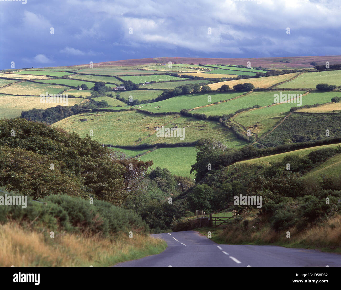 Route de devon Banque de photographies et d’images à haute résolution ...