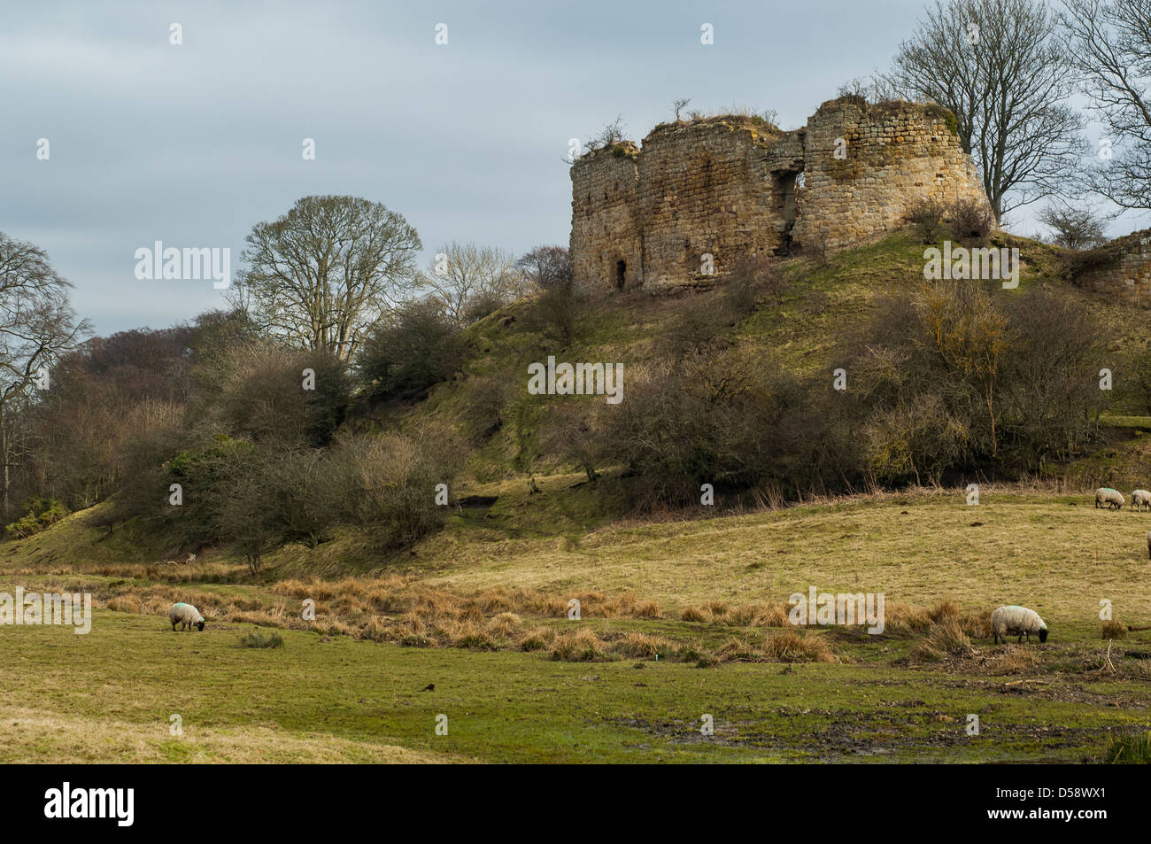 Mitford castle Banque de photographies et d’images à haute résolution ...