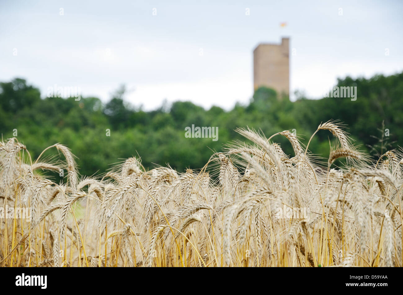 Paysage français Banque de photographies et d’images à haute résolution ...