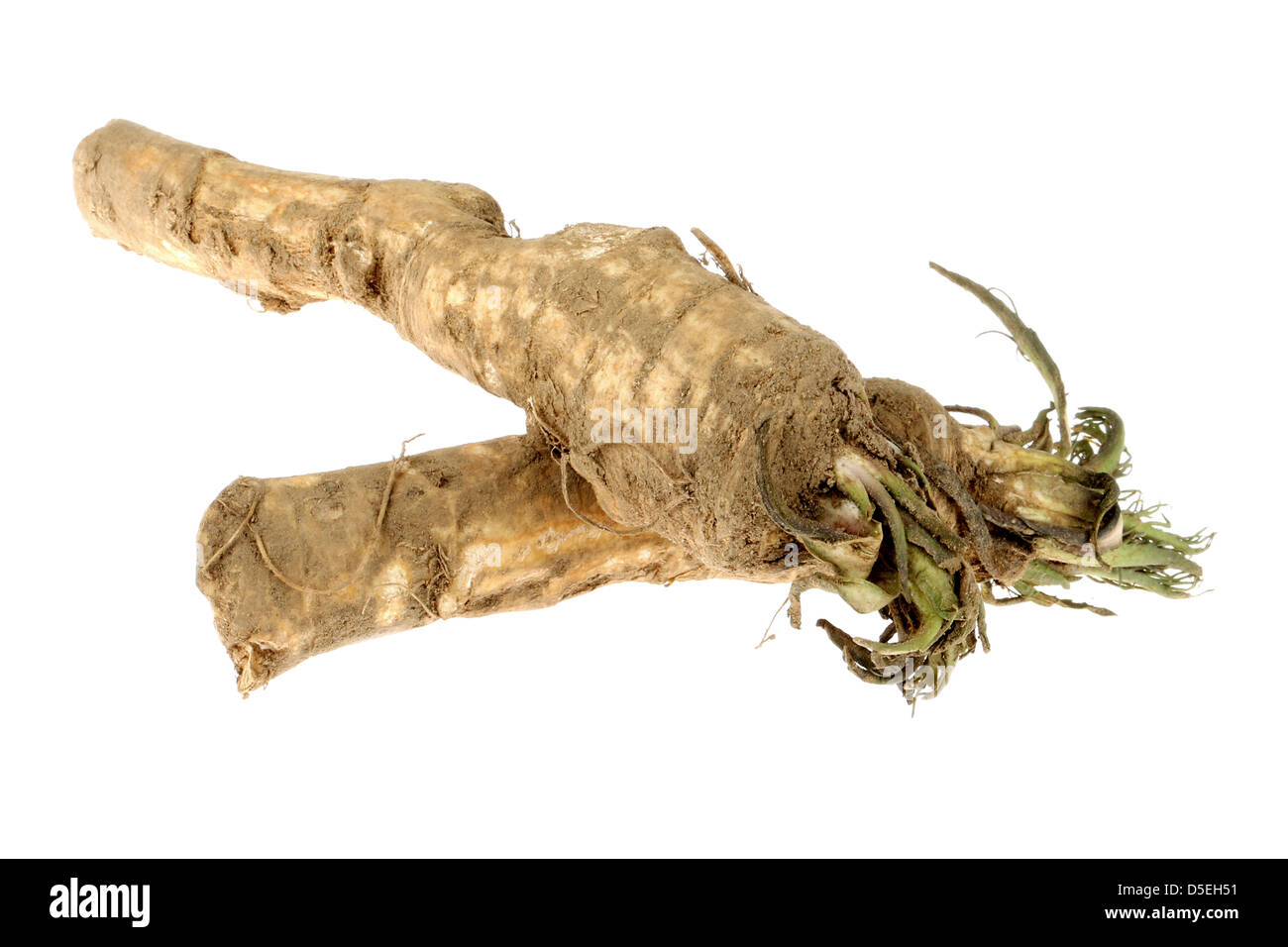 Racine de raifort Banque de photographies et d’images à haute ...