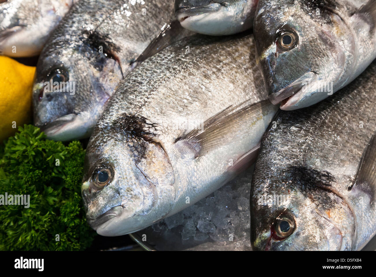 Wet fish Banque de photographies et d’images à haute résolution - Alamy