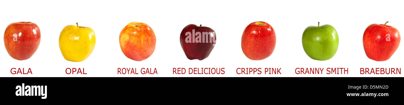 Différentes variétés de pommes sur fond blanc Photo Stock - Alamy