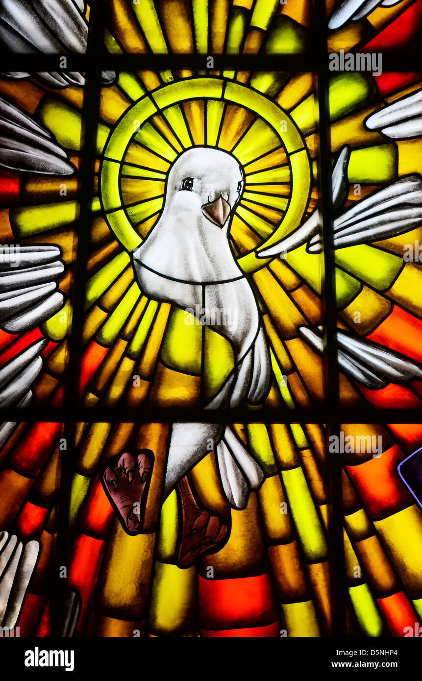 Holy spirit dove stained glass Banque de photographies et d’images à ...