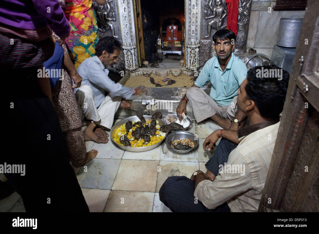 Temple de rat karni mata Banque de photographies et d’images à haute ...