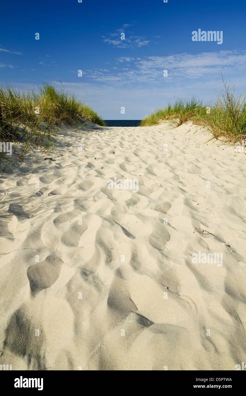 Chemin sur le sable Banque de photographies et d’images à haute ...