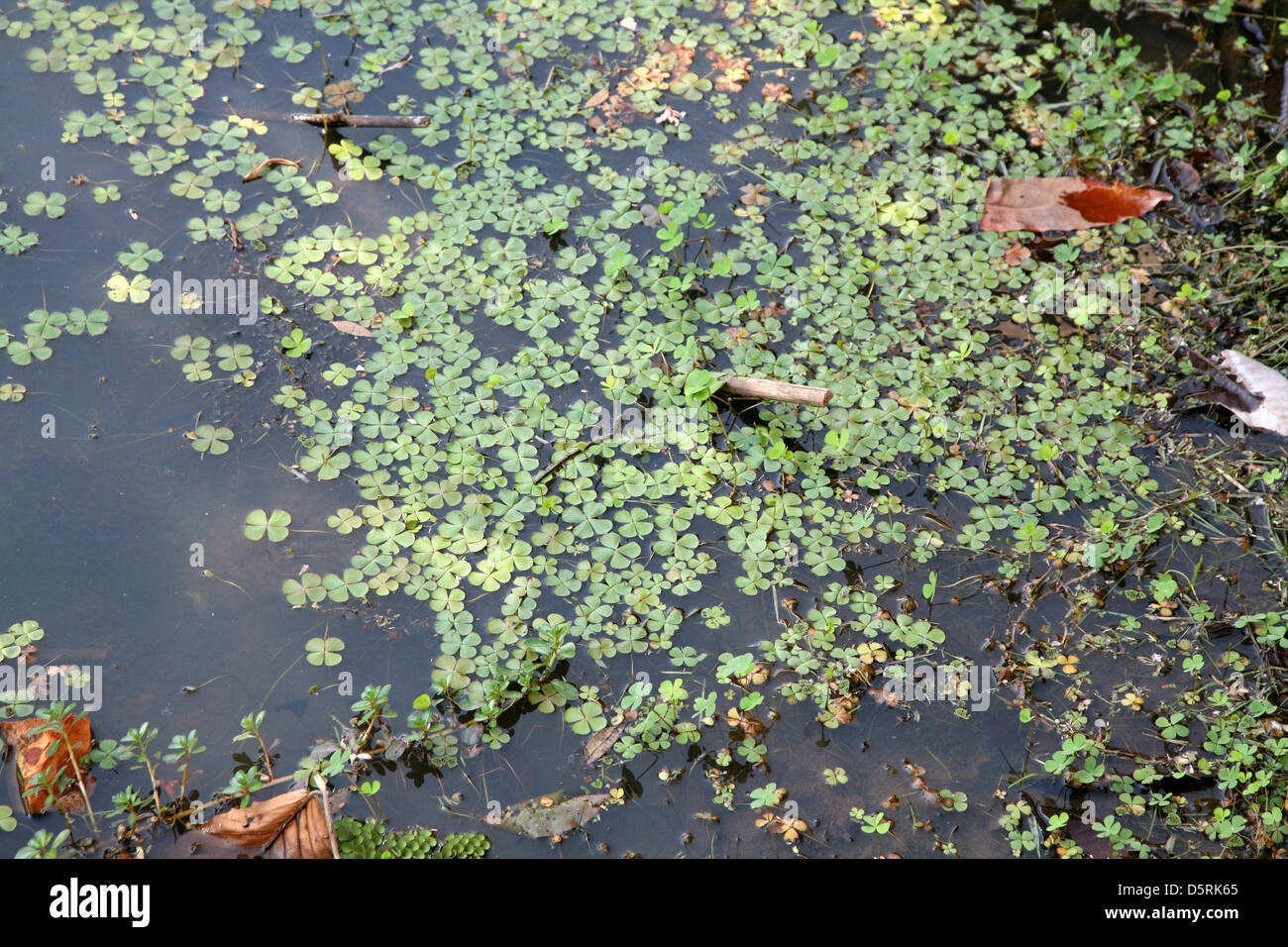 Pays naturel Banque de photographies et d’images à haute résolution - Alamy