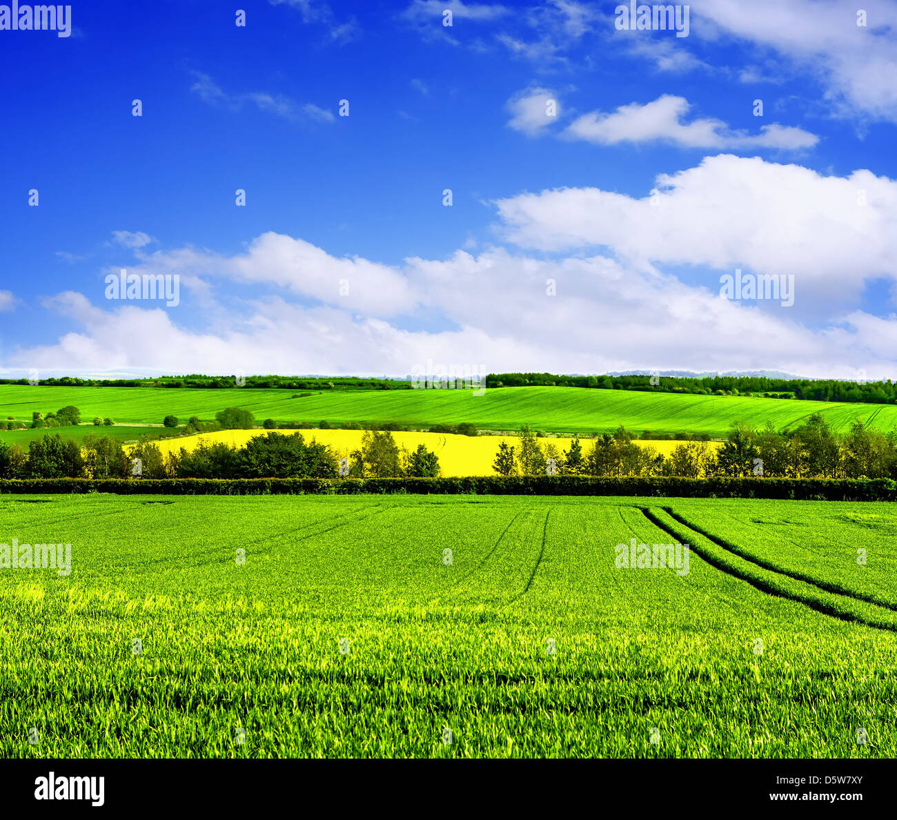 Nature merveilleuse Banque de photographies et d’images à haute ...