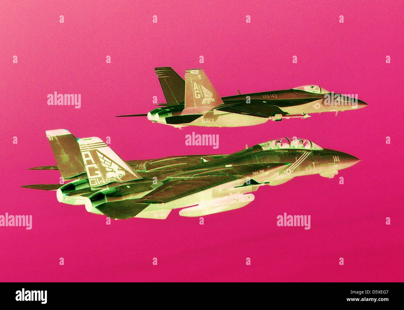 Un Grumman F-14B Tomcat, qui fait partie du VF-143 'Pukin' Dogs', et un ...