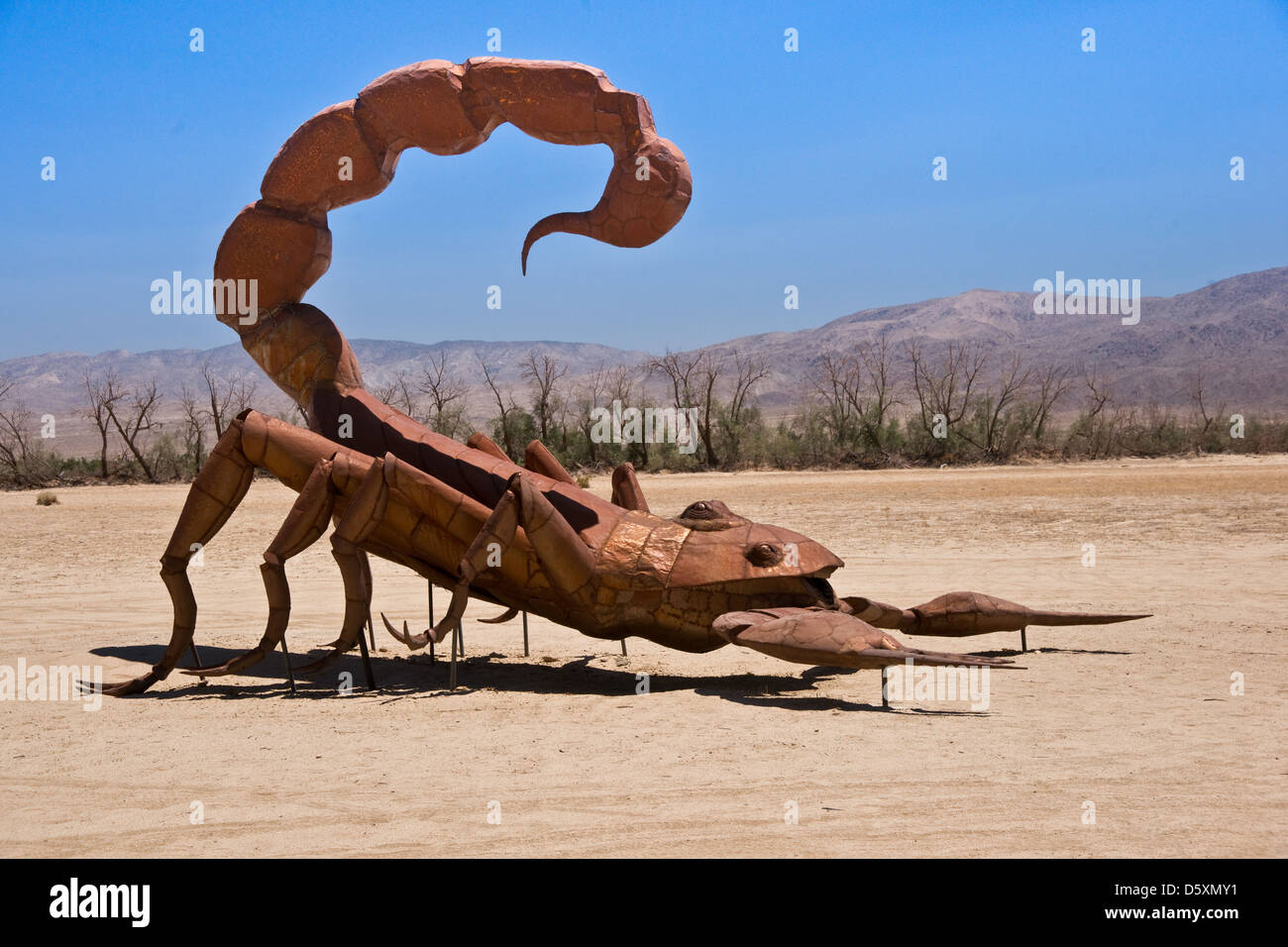 Giant scorpion Banque de photographies et d’images à haute résolution ...