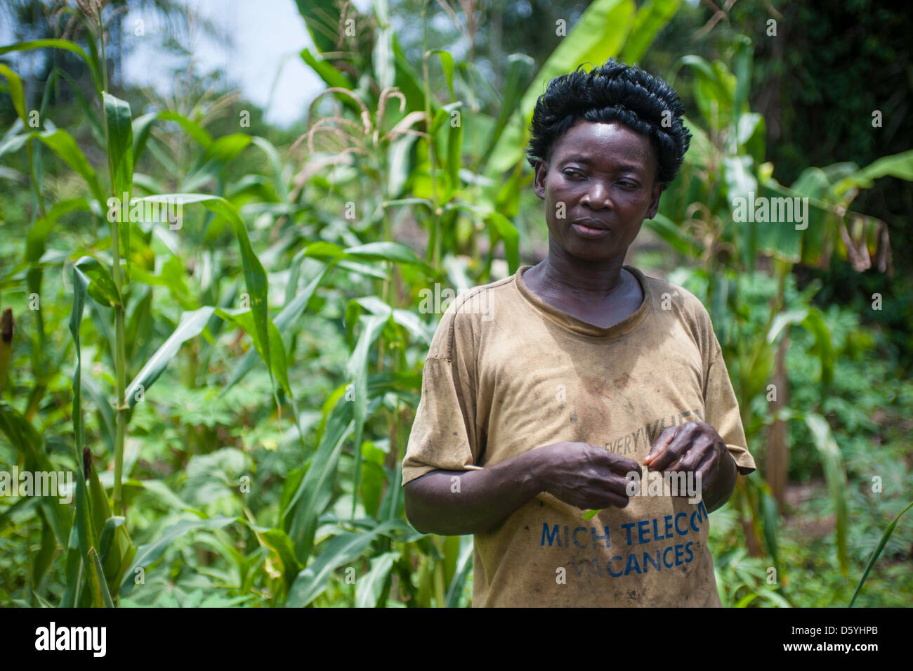 Jeanne de chantal veuve Banque de photographies et d’images à haute ...