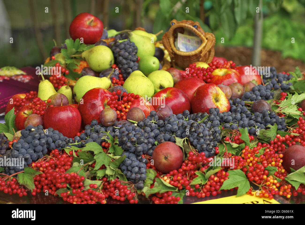Cassis de montagne Banque de photographies et d’images à haute ...