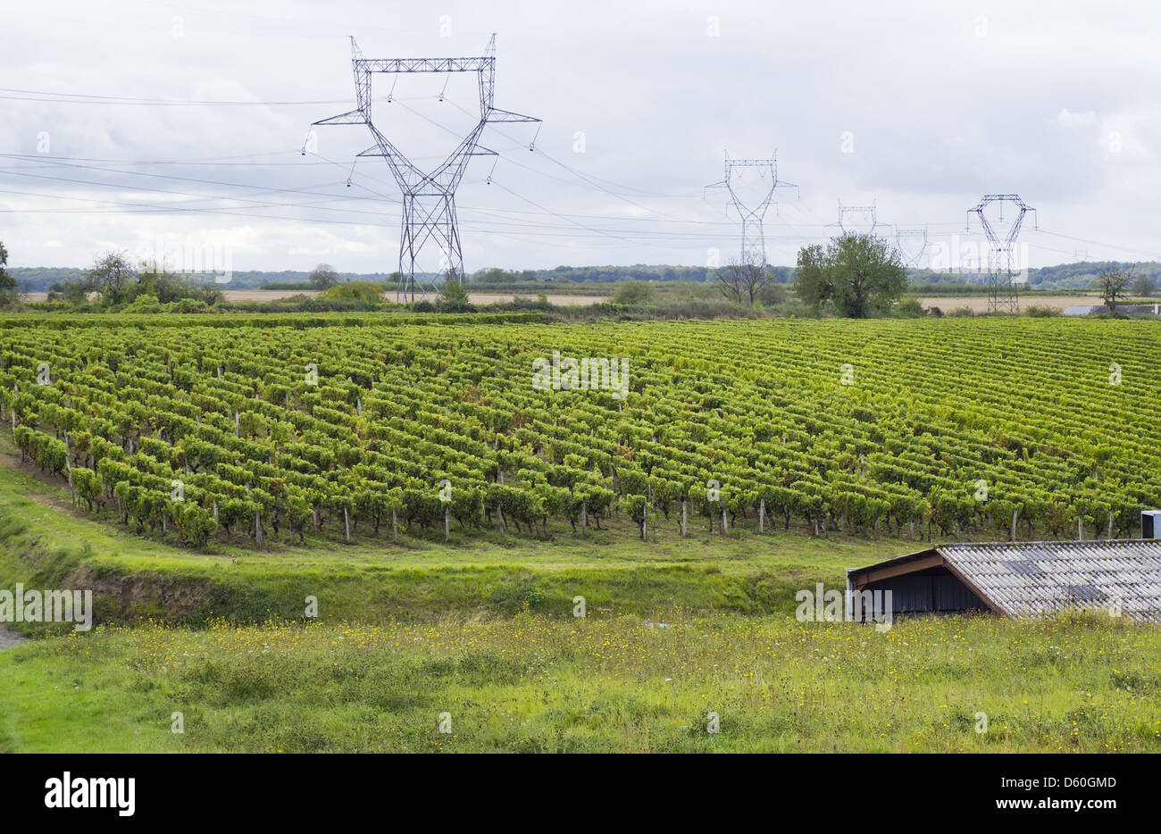 Vignobles français Banque de photographies et d’images à haute ...