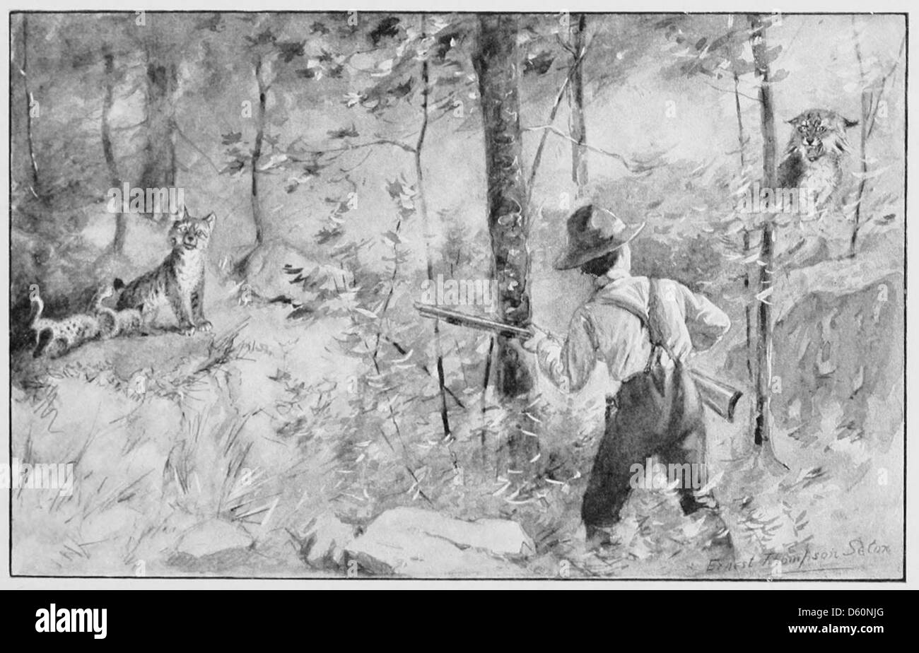 Cette image représente un jeune garçon interagissant avec un lynx, une ...