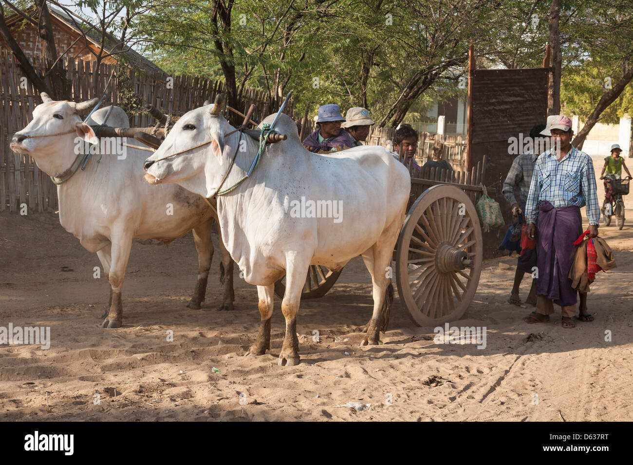 Min nan thu village Banque de photographies et d’images à haute ...