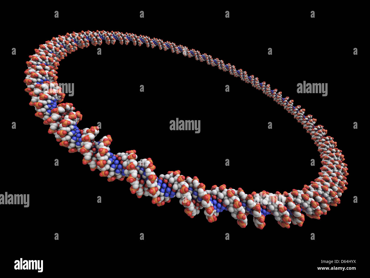 Circular dna Banque de photographies et d’images à haute résolution - Alamy