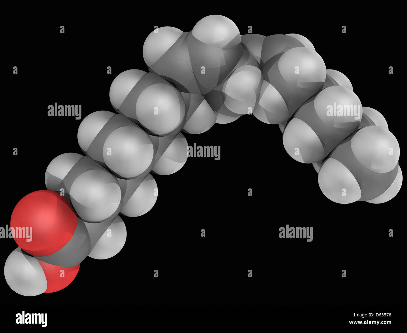 Linoleic acid molecule Banque de photographies et d’images à haute ...