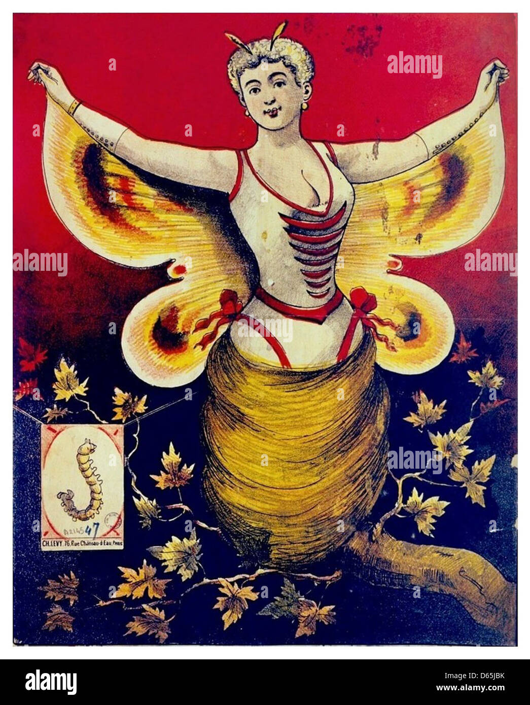 Chrysalide dessin Banque de photographies et d’images à haute ...