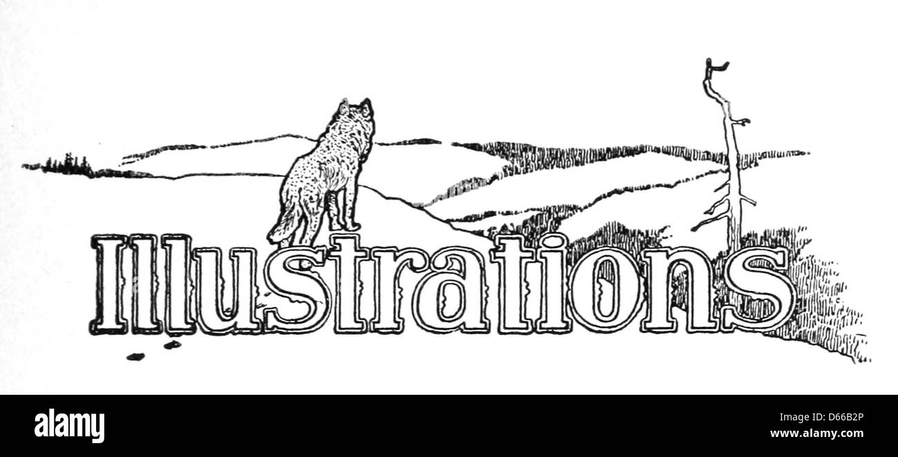 Une illustration tirée de 'A Wilderness Dog' (1910), la biographie d'un ...