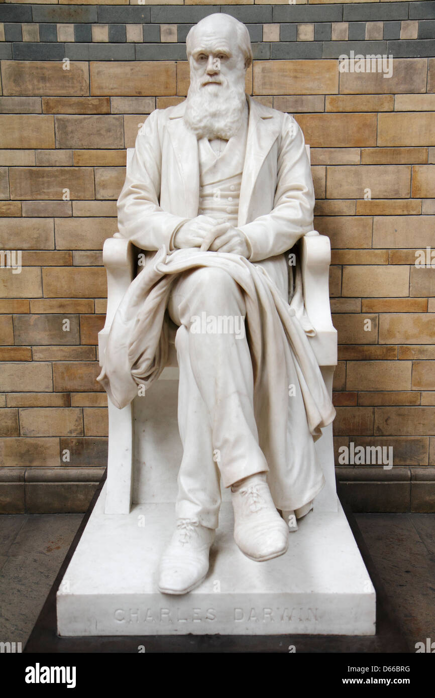 Statue de Charles Darwin, Natural History Museum, London, UK Photo ...