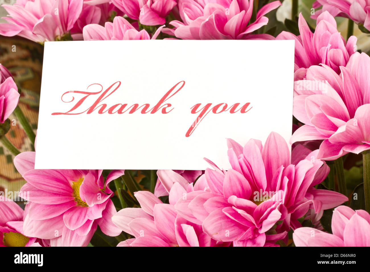 Dire "merci" sur un fond de belles fleurs Photo Stock - Alamy
